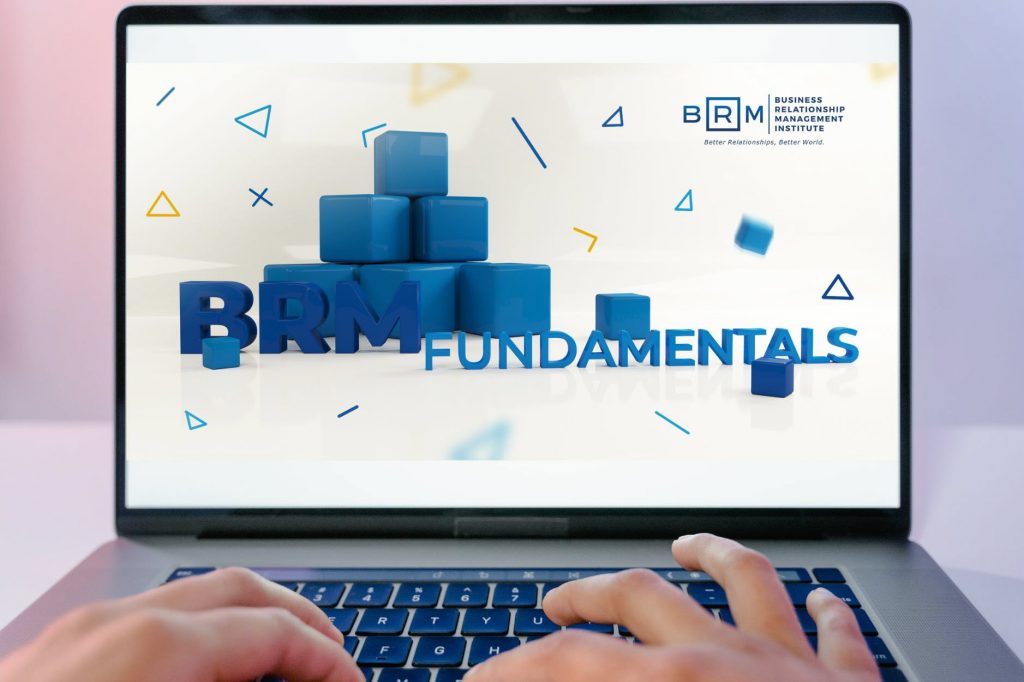 Zoom Into Knowledge: E-Learning for BRMs