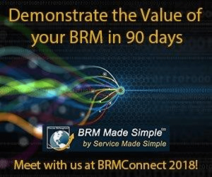 Business Relationship Manager (BRM) Metrics - BRM Institute