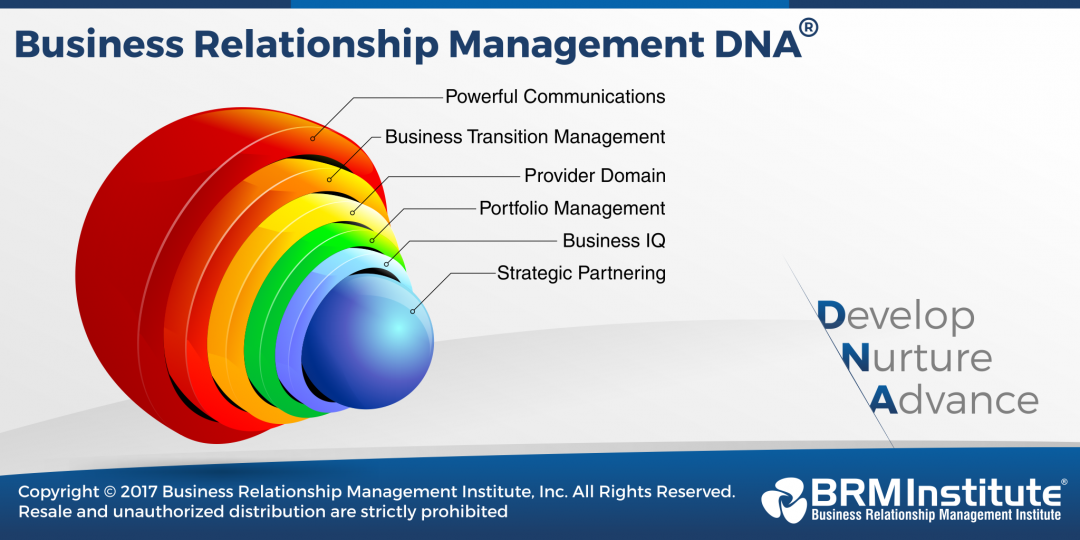 Challenging the BRM DNA: Common Skills of BRMs in the Industry