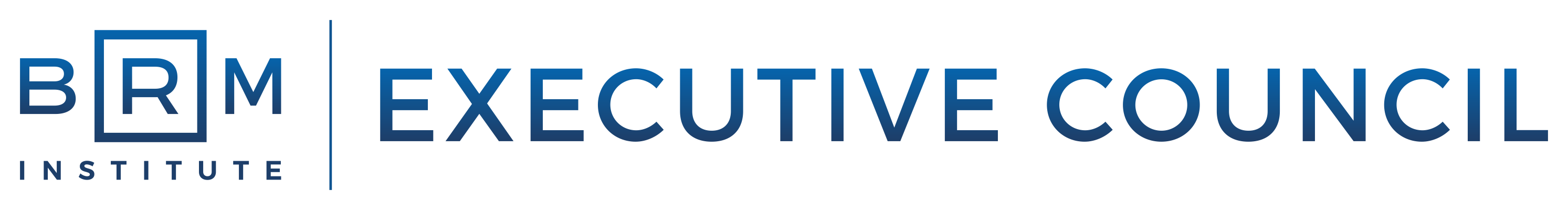 BRM Institute Executive Council