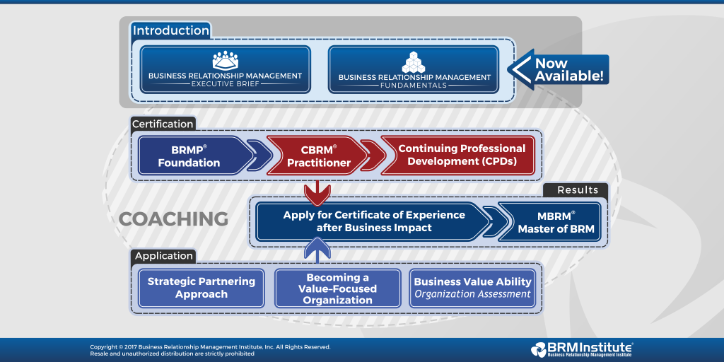 BRM Institute Is Excited to Announce the Release of Two New Knowledge Offerings: BRM Executive ...
