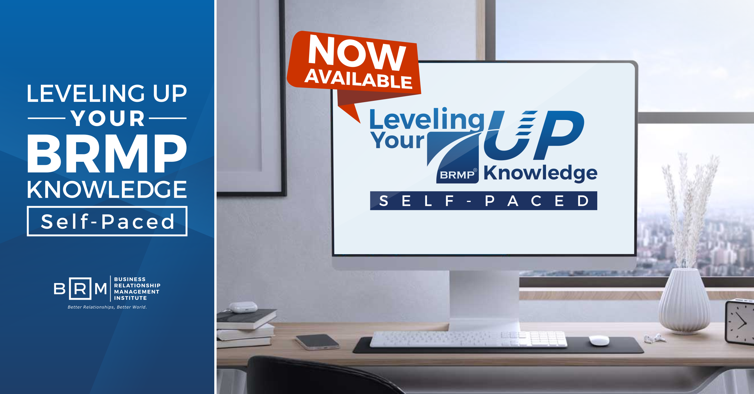 Leveling Up Your BRMP Knowledge Self Paced is Here! - BRM Institute