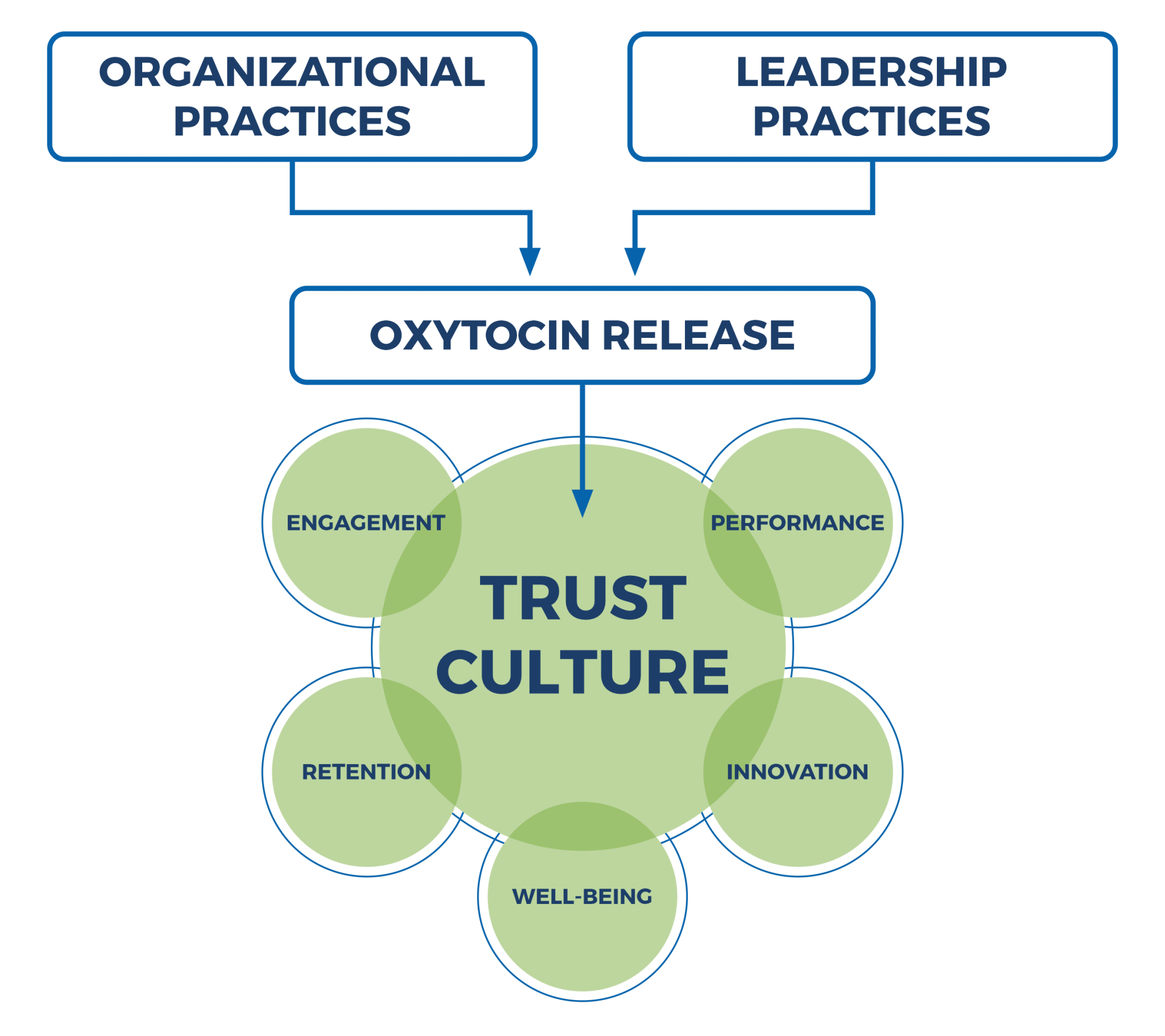 The Neuroscience of Trust