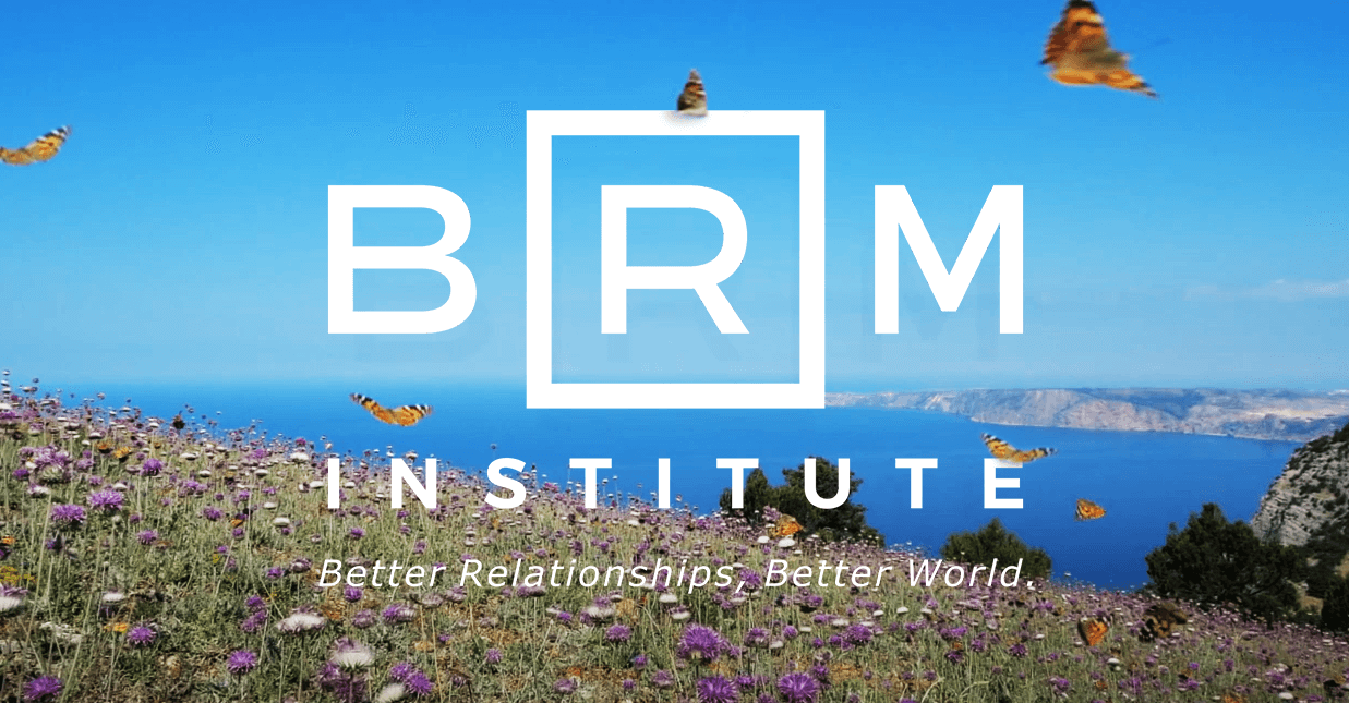 Why We Are Different (And why different is good!) - BRM Institute