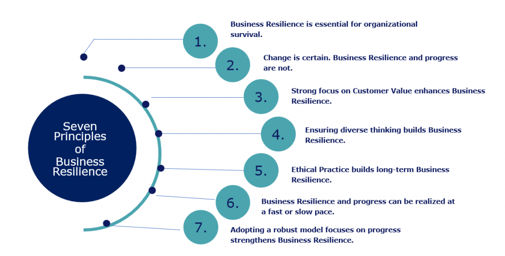 Building Resilience Through the Strategic Role of a BRM - BRM Institute
